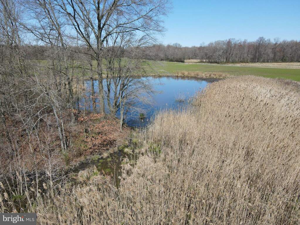 10785 Big Stone Road, Millington, MD 21651 | MLS# MDKE2003826 | RLAH ...