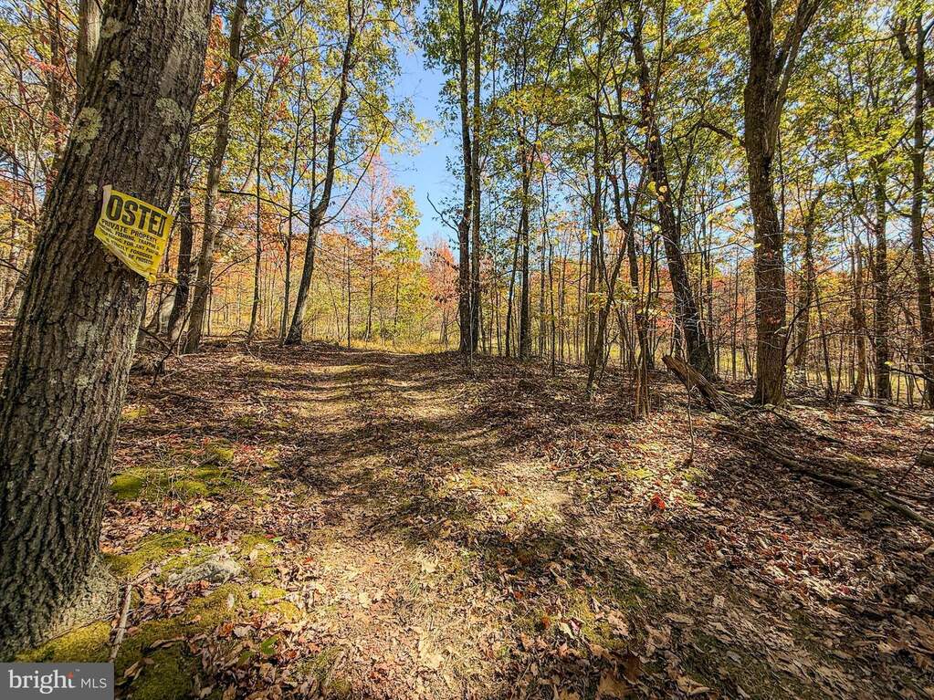 Adj 157 Thomas Road, Alum Bank, PA 15521 | MLS# PABD2002928 | RLAH ...