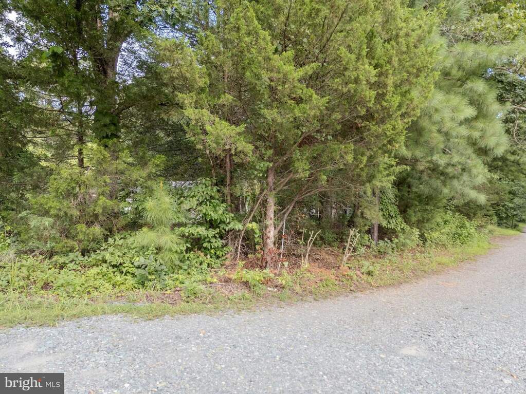 14 Hanback Road, Gordonsville, VA 22942 | MLS# VALA2008756 | RLAH ...