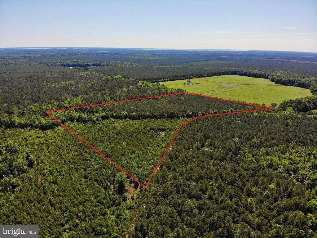 Golden Hill Rd, Elberon, VA 23846 | MLS# VASR2000018 | RLAH @properties