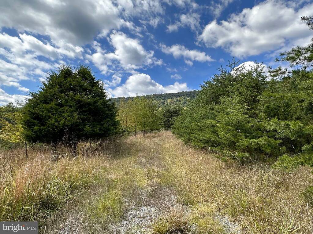 Knobley Road, Keyser, WV 26726 | MLS# WVMI2002020 | RLAH @properties