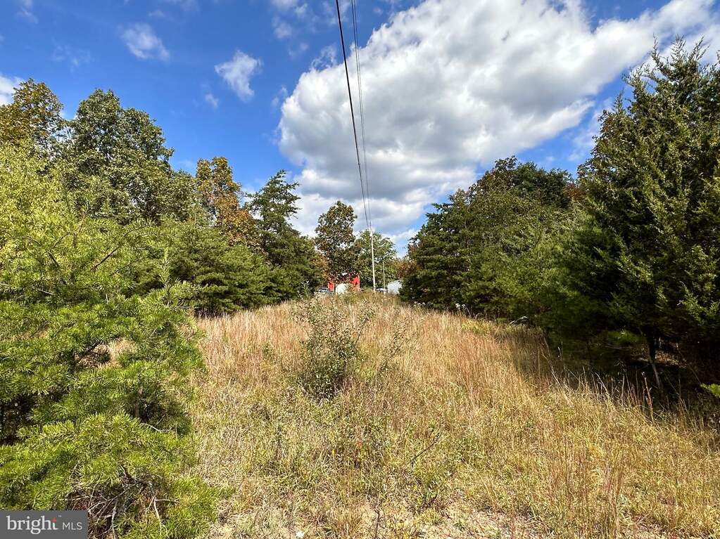 Knobley Road, Keyser, WV 26726 | MLS# WVMI2002020 | RLAH @properties