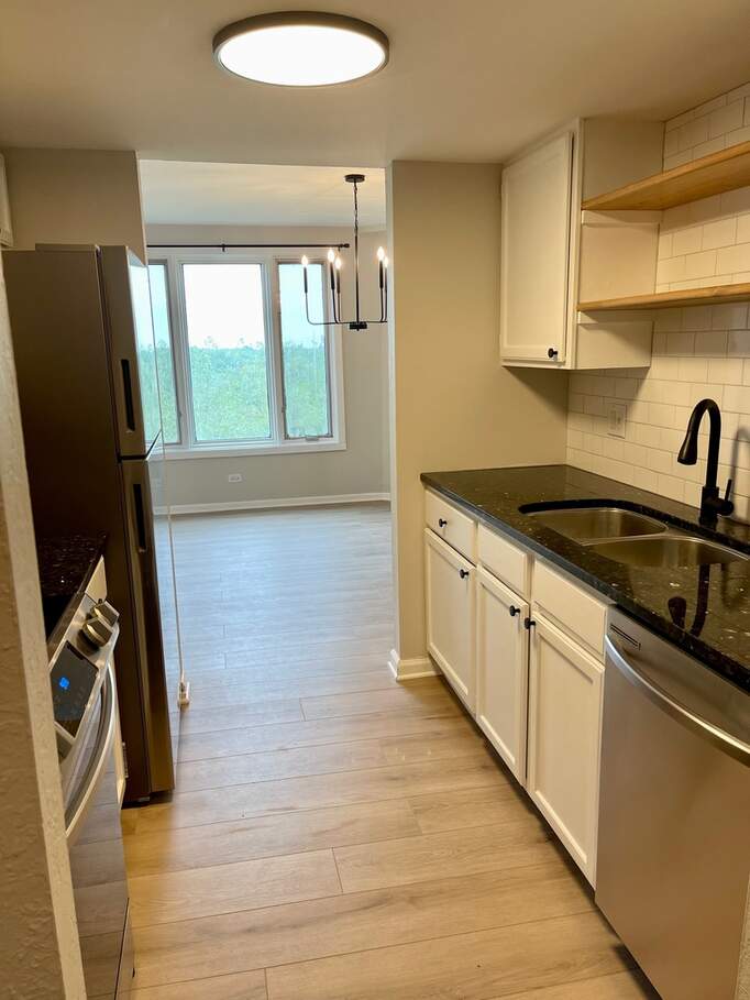 1 Renaissance Place #717, Palatine, IL 60067 | MLS# 11783209 ...