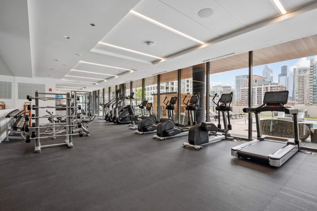 808 N Cleveland Avenue #2003, Chicago, IL 60610 | MLS# 12028645 ...