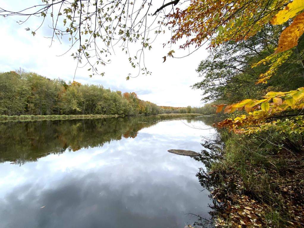 N12198 Wolfe Ln, Silver Cliff, WI 54104 | MLS# 1723926 | @properties SE ...