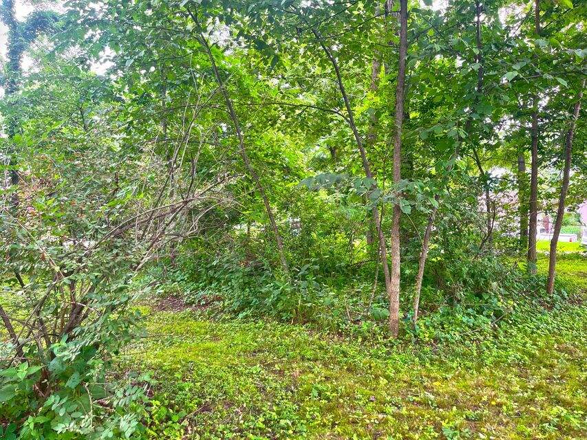 238 Bayview Rd, Williams Bay, WI 53191 | MLS# 1922684 | @properties SE ...