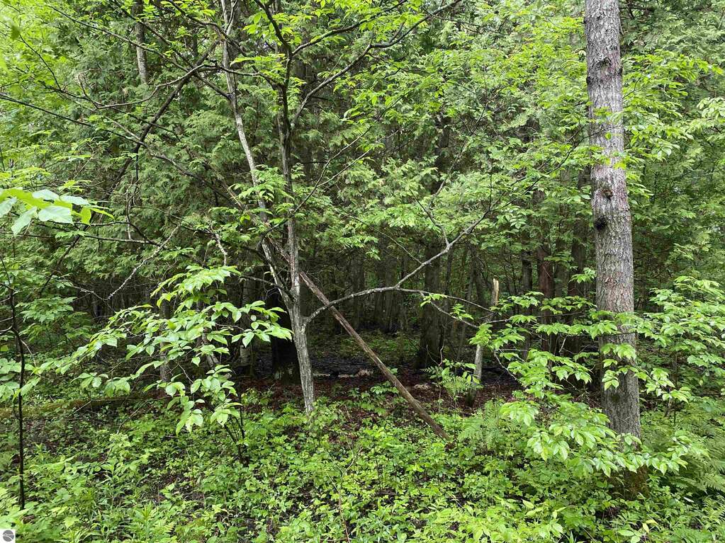 15991 Bentley Road, Thompsonville, MI 49683 | MLS# 1920542 ...