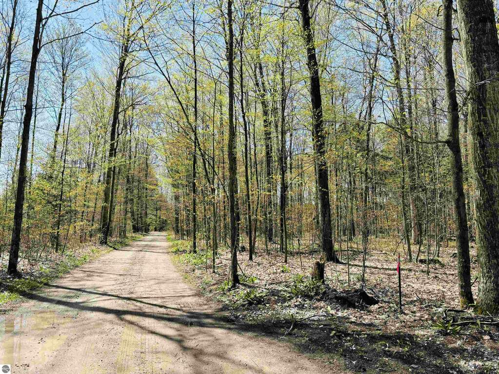 160 Hidden Meadow Trail, Beulah, MI 49617 | MLS# 1921840 | @properties ...