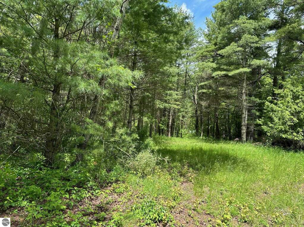 4767 Mackenzie Road, Oscoda, MI 48750 | MLS# 1923215 | @properties REMI ...