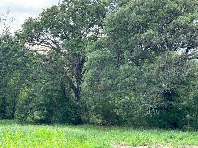 00 County Road 2403, Tool, TX 75143 | MLS# 20815824 | @properties lone ...