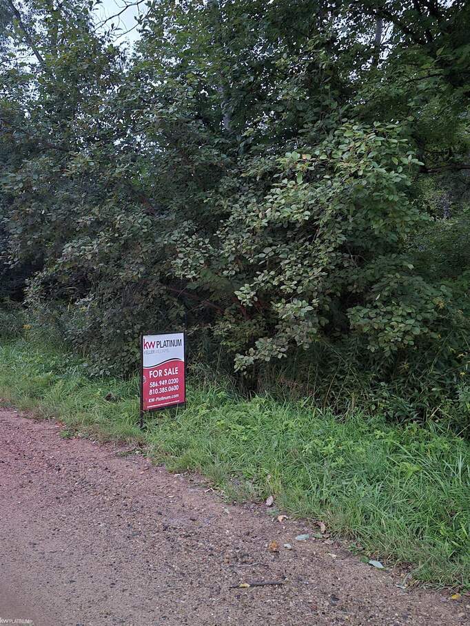 V/L N. Ehlers Road, Rhodes, MI 48652 | MLS# 58050186260 | @properties ...