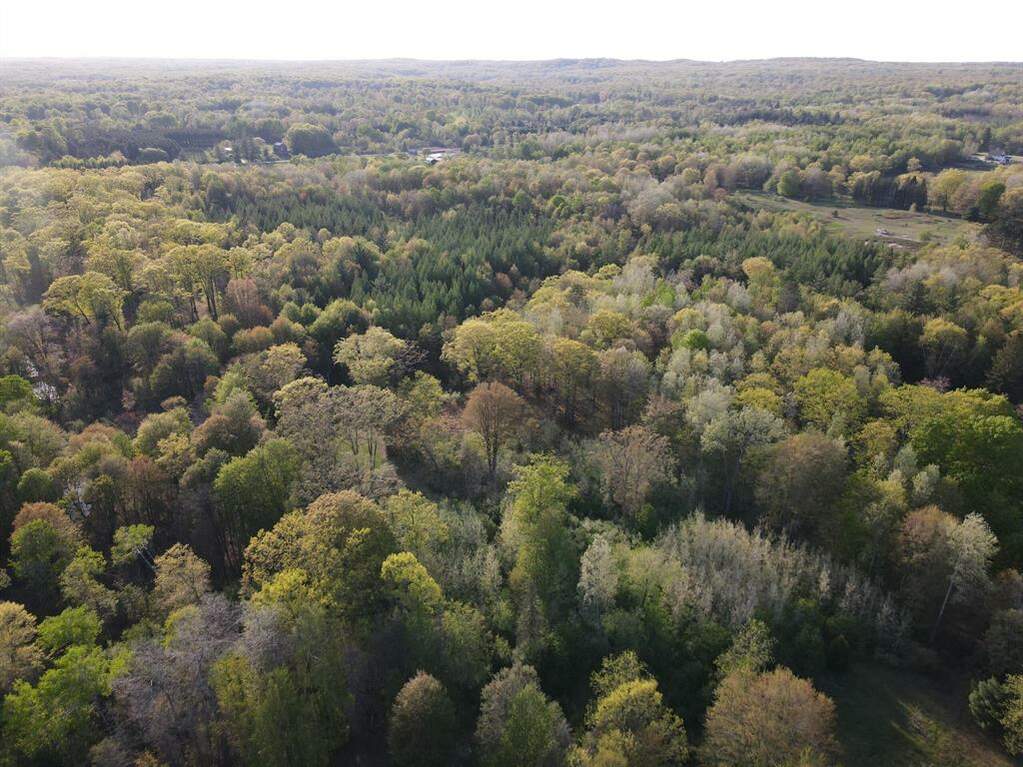 11060 Nolan Road, Nester Twp, MI 48624 | MLS# 68023016868 | @properties ...