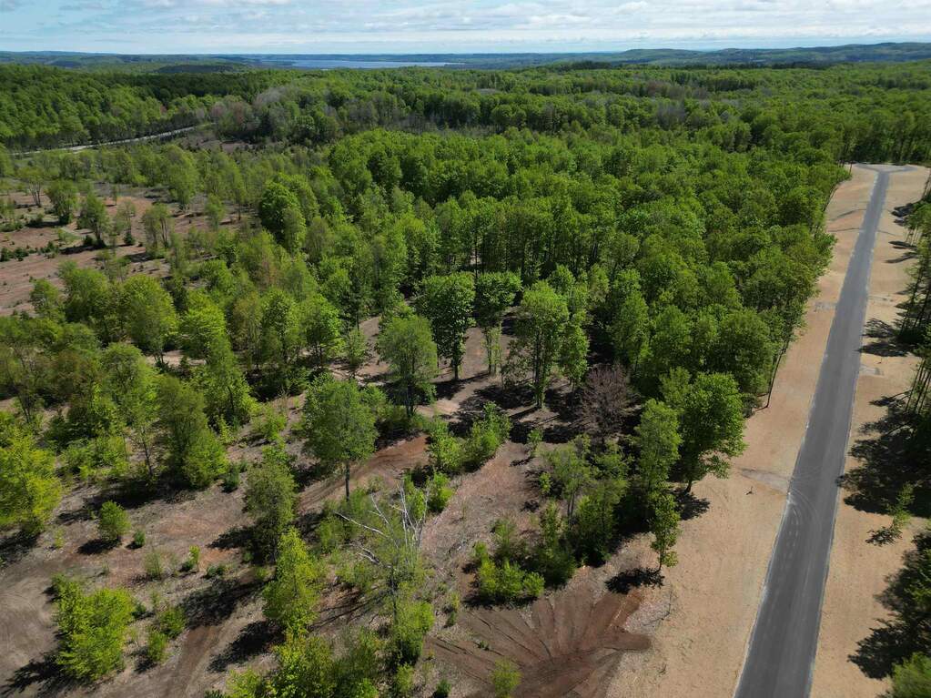 1155 E Solaris Way, Maple City, MI 49664 | MLS# 78080064031 ...