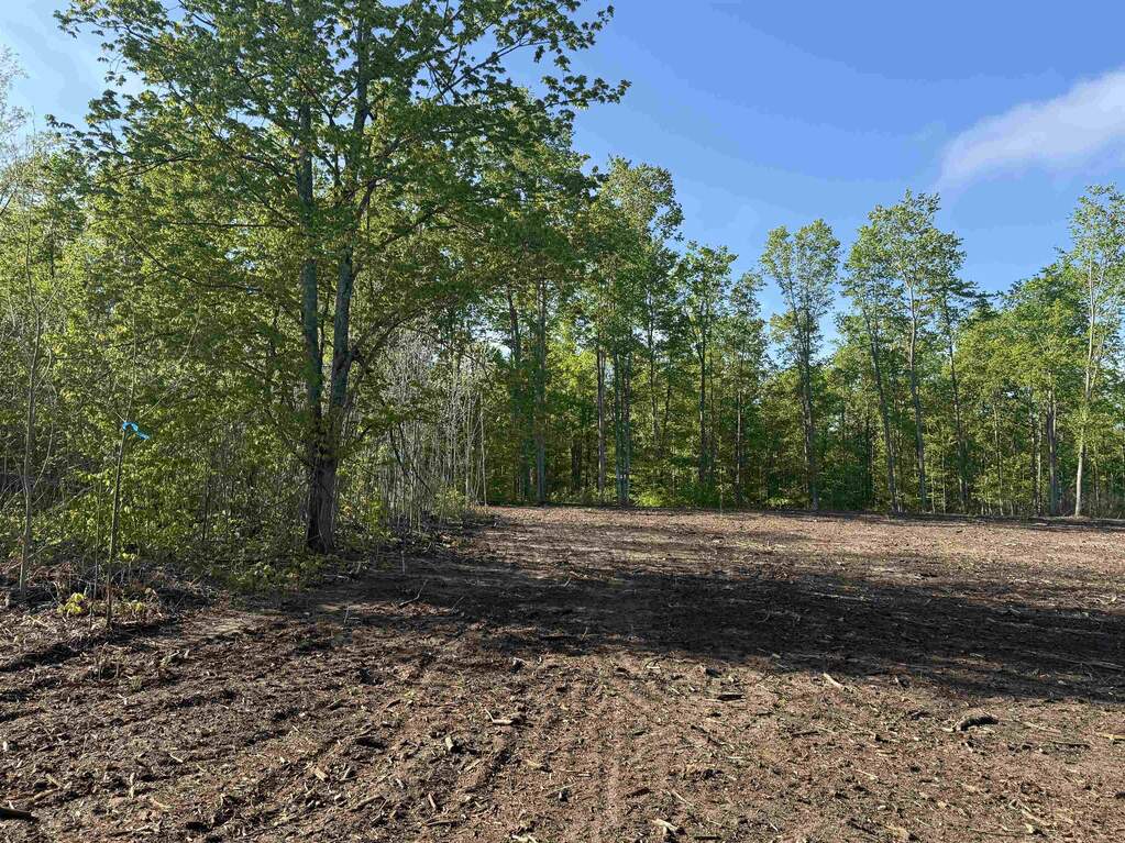 1060 E Solaris Way, Maple City, MI 49664 | MLS# 78080064032 ...