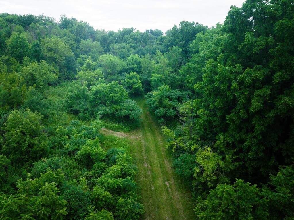 58877 Sudden Valley View Drive, Eastman, WI 54626 | MLS# 2001734 ...