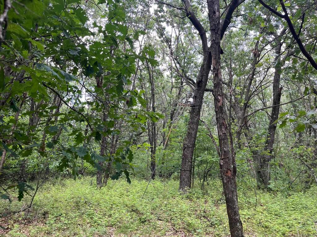 10 Acres 6th Avenue, Grand Marsh, WI 53936 | MLS# 2003745 | @properties SE Wisconsin