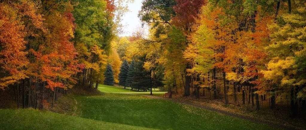 9482 Fawn Lake Drive, Canadian Lakes, MI 49346 | MLS# 23137874 ...