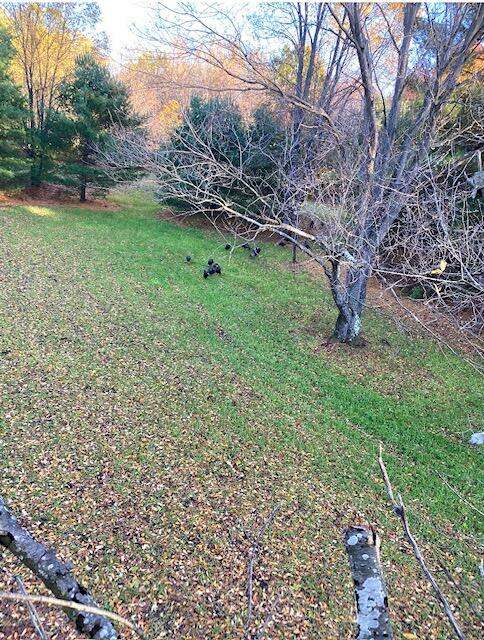 0 112 Avenue, Nunica, MI 49448 | MLS# 23142976 | @properties SW Michigan