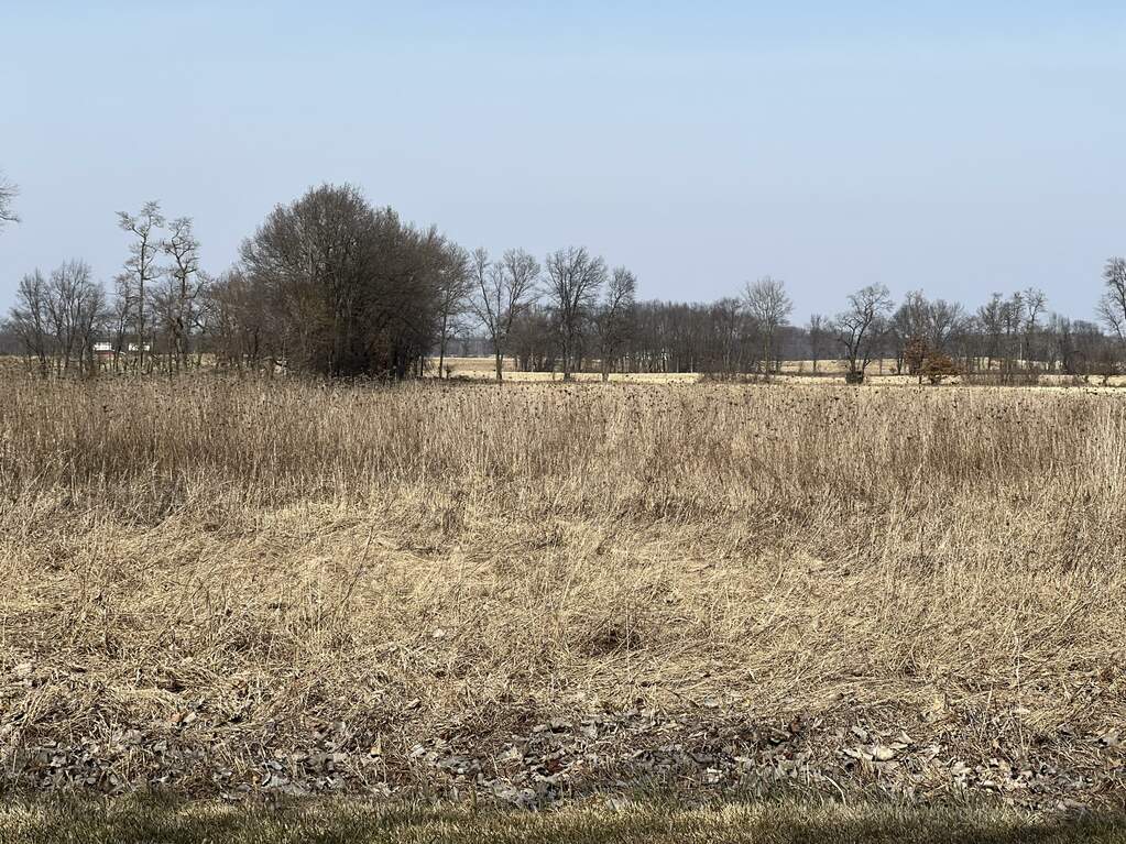 Rawson Road, Coldwater, MI 49036 | MLS# 24009250 | @properties SW Michigan