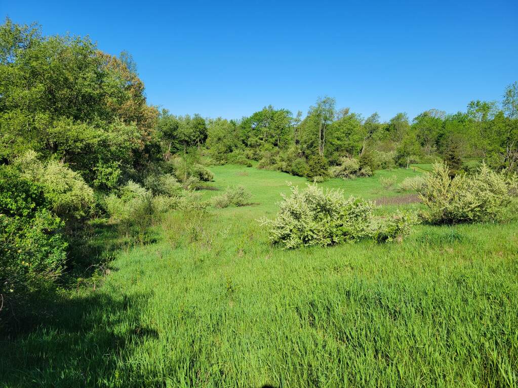 0 Rentz Road, Ann Arbor, MI 48103 | MLS# 24023167 | @properties REMI ...