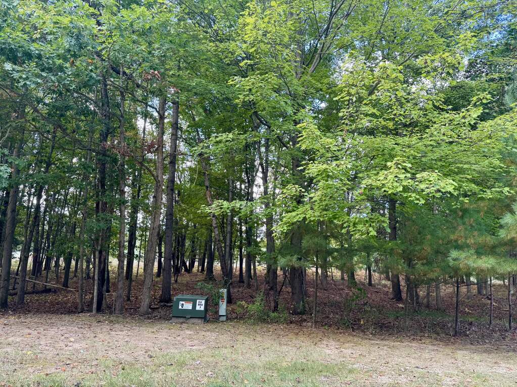 6485 Dunhill Drive, Canadian Lakes, MI 49346 | MLS# 25049483 ...