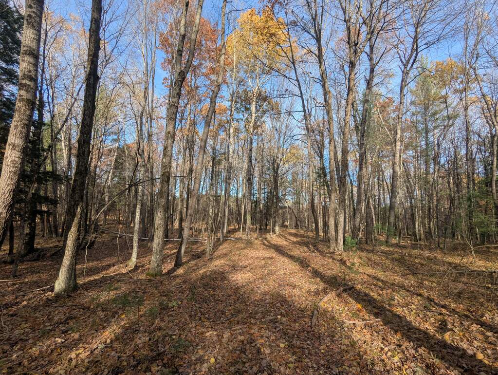 1103 N Frank Smith Road, Luther, MI 49656 | MLS# 25057207 | @properties ...