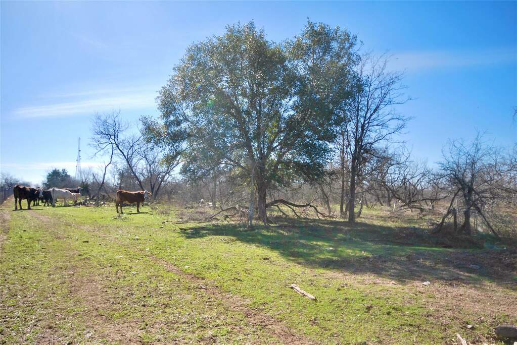 Tract 2 Cr 482, Gonzales, TX 78629 | MLS# 1127378 | @properties lone ...