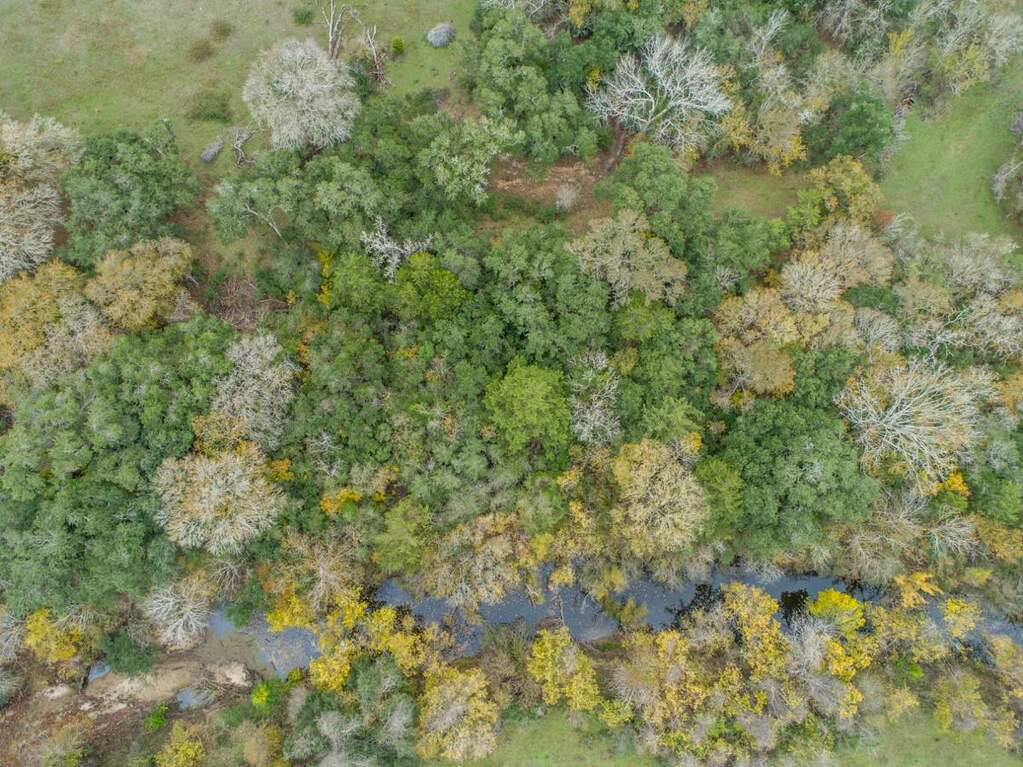 2610 County Road 419, Yoakum, TX 77995 | MLS# 1975585 | @properties Dallas