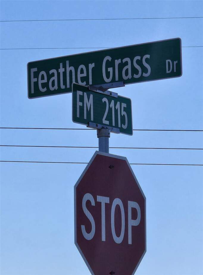 1281 Gamagrass Rd, Salado, TX 76571 | MLS# 7121294 | @properties lone ...